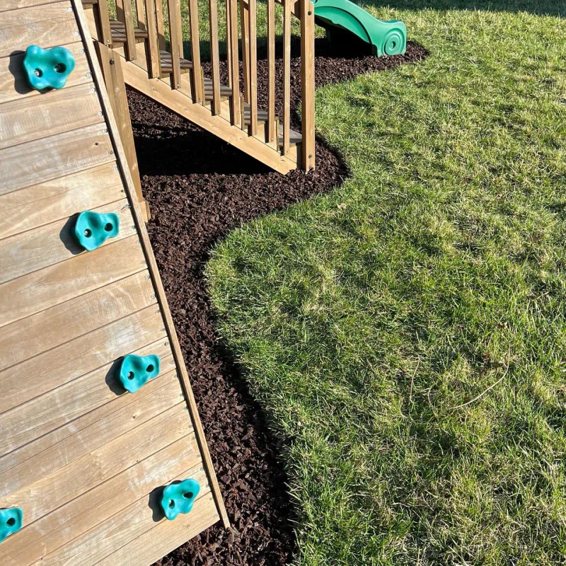 My evergreen looks like it's dying! This is normal... Let's discuss ...